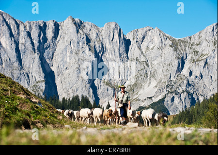 Austria, Salzburg County, Shepherd herding sheep on mountain Stock ...
