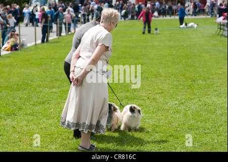 Cornwall, England, UK - Dog show competition at Royal Cornwall Snow ...
