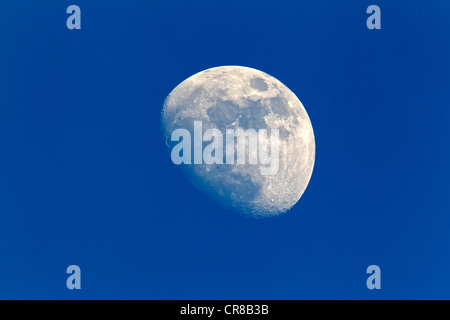 Moon half / waxing Stock Photo - Alamy