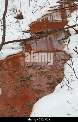 Russia. Moscow region. Zvenigorod place. Forest stream Stock Photo - Alamy