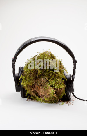 Lump of moss Stock Photo - Alamy