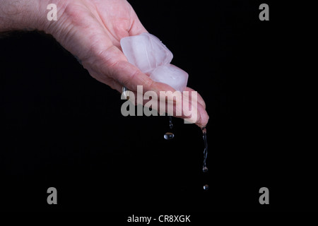 Ice cubes being held in hand and melting Stock Photo - Alamy