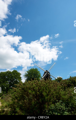 Reigate Heath Windmill Reigate Surrey with Ulex Europaeus in the ...