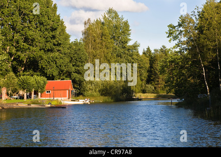 Scandinavia, Sweden, Smaland, View of forest in winter Stock Photo - Alamy