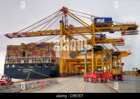 A container ship, right, and a cargo vessel are seen in the Strait of ...