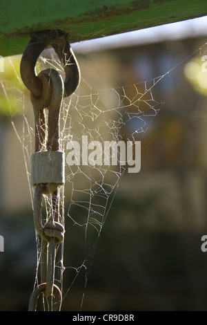 Children swing on a spider-web swing. Boy and girl, brother and sister ...
