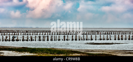 Wadden sea from the island Mando, Denmark Stock Photo - Alamy