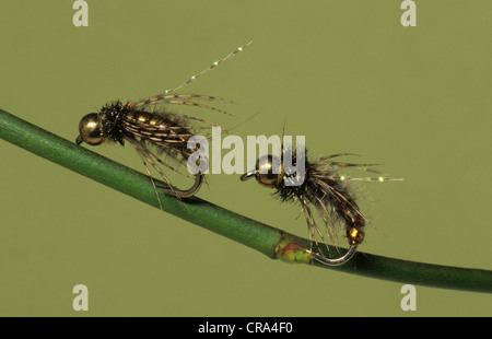 Caddis Pupa trout fly Stock Photo - Alamy