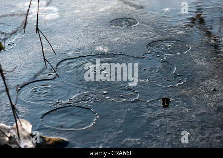 Bubbles, carbon dioxide escaping, mofette or mofettes, Laacher See ...
