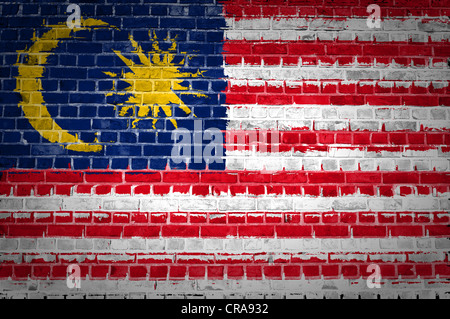 Malaysia national flag painted on textured wall mural background Stock ...