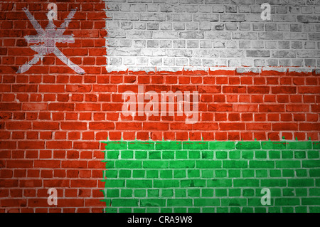 Oman national flag painted on textured wall mural background Stock ...