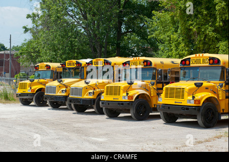 School Busses Parked in Lot Stock Photo - Alamy