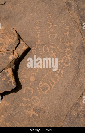 African Rock Art a rock engraving from the Northern Cape, South Africa ...