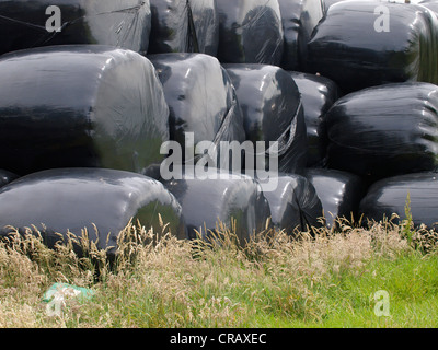 Black bags of big bale silage stored in field on a farm near the market ...