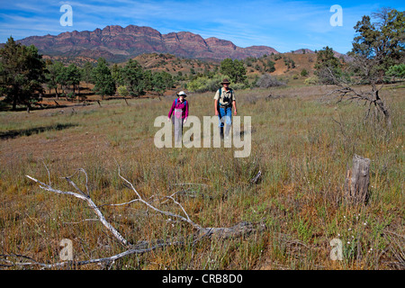 Hikers on Arkaba Station in South Australia's Flinders Ranges, with the ...