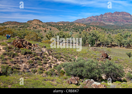 Hikers on Arkaba Station in South Australia's Flinders Ranges, with the ...