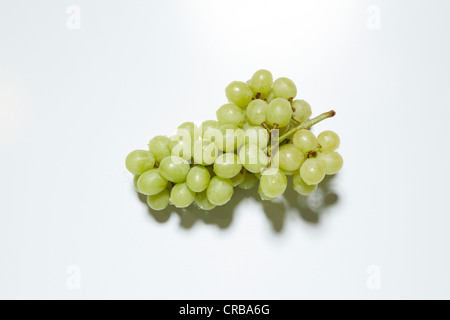 top view green grapes inside tray on dark background fruit fresh mellow ...