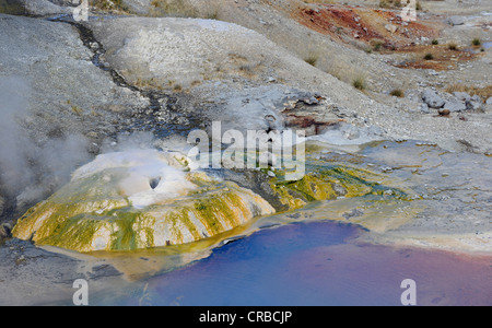 Ledge Geyser, Porcelain Basin, Norris Geyser Basin, geysers, geothermal ...