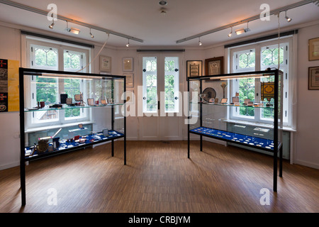 Interior, Schloss Callenberg palace, hunting lodge and summer Stock ...