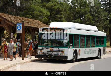 The Grand Canyon South Rim Shuttle Bus stop at Mohave Point, Grand ...