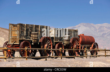 Twenty mule Borax team, Mojave, California Stock Photo - Alamy