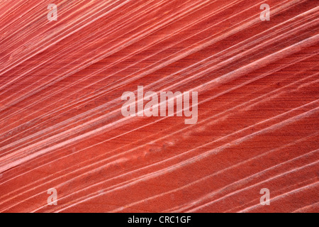 Detail of typical Liesegang Bands, Liesegangen Rings, or Liesegang ...