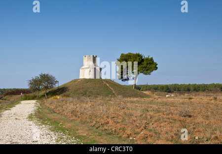 Church of Saint Nicholas near Nin in Zadar County, North Dalmatia ...