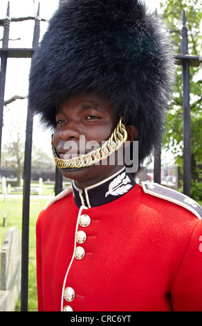 Grenadier Guard In Busby Hat London UK Stock Photo - Alamy