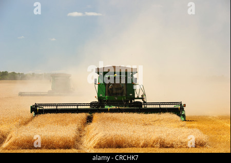 Combine harvesters harvesting grain, prairie, Manitoba, Canada Stock ...