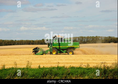Combine harvesters harvesting grain, prairie, Manitoba, Canada Stock ...