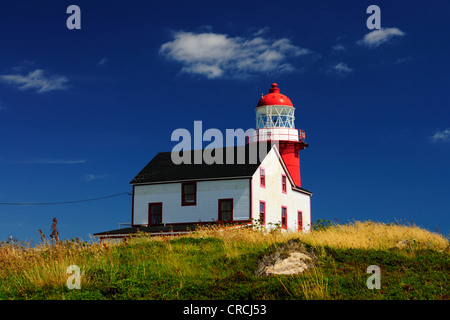 Lighthouse at Ferryland, Avalon Peninsula, Newfoundland Stock Photo - Alamy