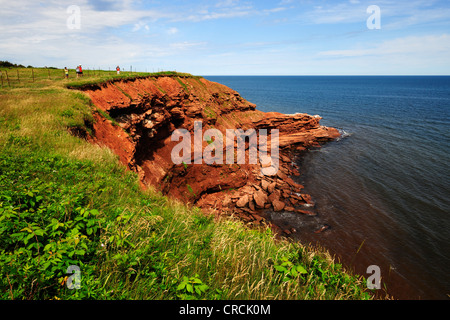 Red sandstone cliffs of Prince Edward National Park Stock Photo - Alamy
