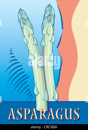 Asparagus, Asparagus officinalis Stock Photo - Alamy