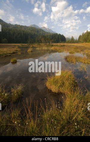 Lake Rieden, Austria, Tyrol Stock Photo - Alamy