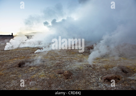 Fumaroles in the Eduardo Avaroa Andean Fauna National Reserve, Potosi ...