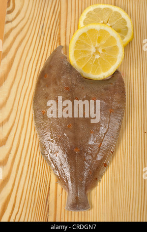 High angle view of plaice fish in plate Stock Photo - Alamy