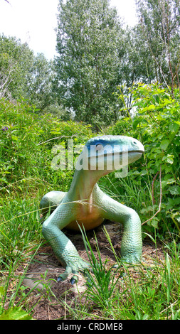 Early Protorosaurus dinosaur, Permian era Over 30 species of lifelike ...