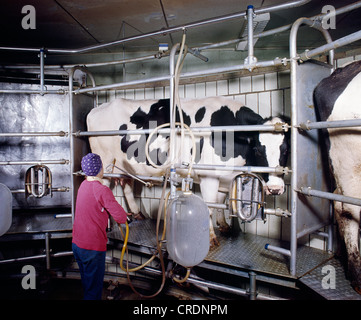 CAROUSEL MILKING PARLOR / PENNSYLVANIA Stock Photo - Alamy