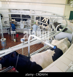 CAROUSEL MILKING PARLOR / PENNSYLVANIA Stock Photo - Alamy