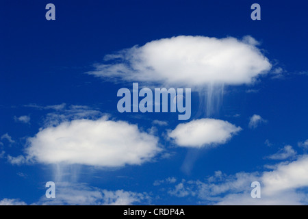 virga falling from clouds, cumulus virga Stock Photo - Alamy