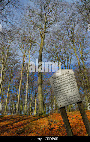 Nature reserve sign in front of forest Stock Photo - Alamy