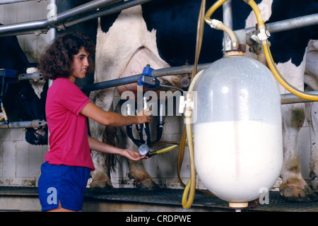 CAROUSEL MILKING PARLOR / PENNSYLVANIA Stock Photo - Alamy