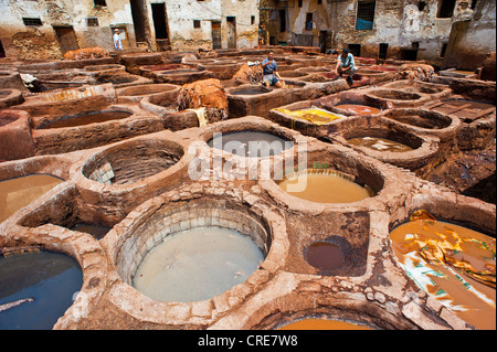 Dyeing pits in the traditional tannery in the historic town centre or ...