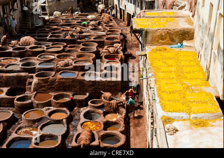 Traditional leather dyeing and tannery pits, Fez, Morocco, N Africa ...