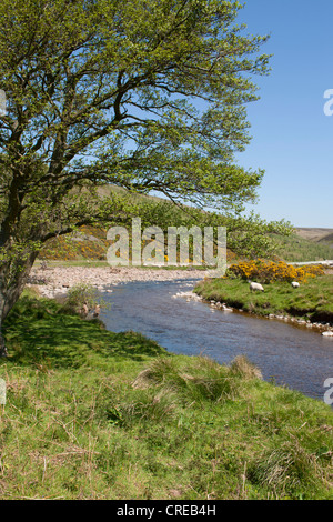 Breamish Valley Northumberland Stock Photo - Alamy