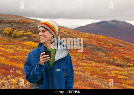 Subalpine tundra, Indian summer, autumn, near Fish Lake, Yukon ...