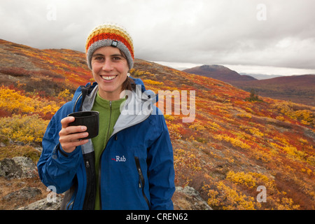Subalpine tundra, Indian summer, autumn, near Fish Lake, Yukon ...