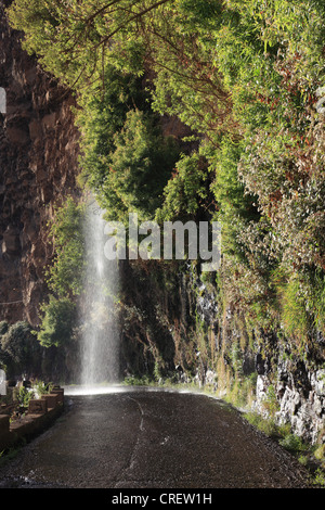 Madeira car wash waterfall Stock Photo - Alamy