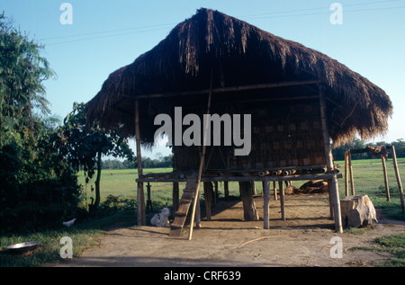House of Bamboo stilts ; Majuli ; Assam ; India Stock Photo - Alamy