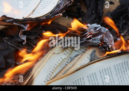 Books burning in fire Stock Photo - Alamy